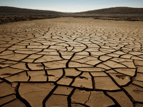 A World Without Trees - News Digest | Healthy Options